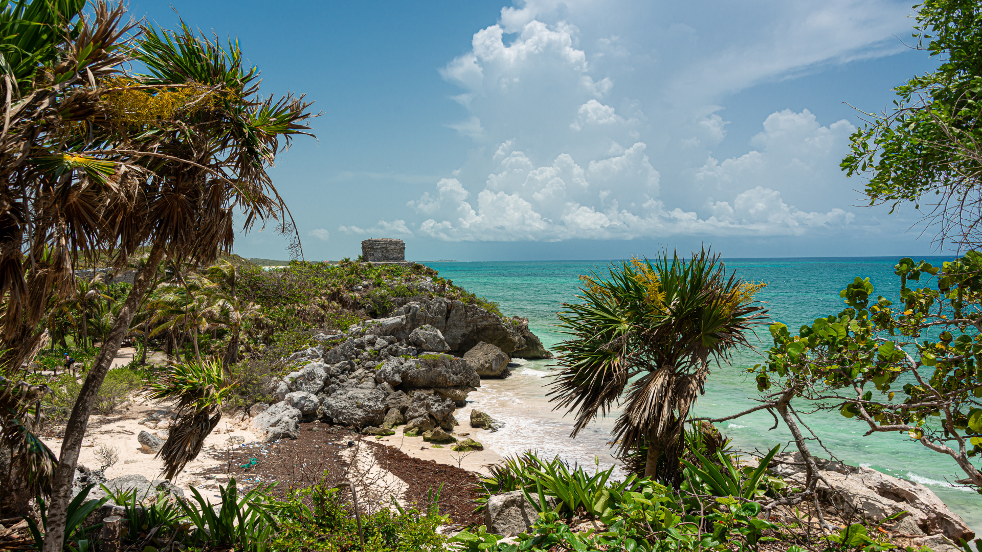 ¿Qué pasó con los extranjeros en Tulum y por qué protestaron?