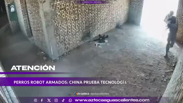 Prueban nueva tecnología con perros robot equipados con armas en China