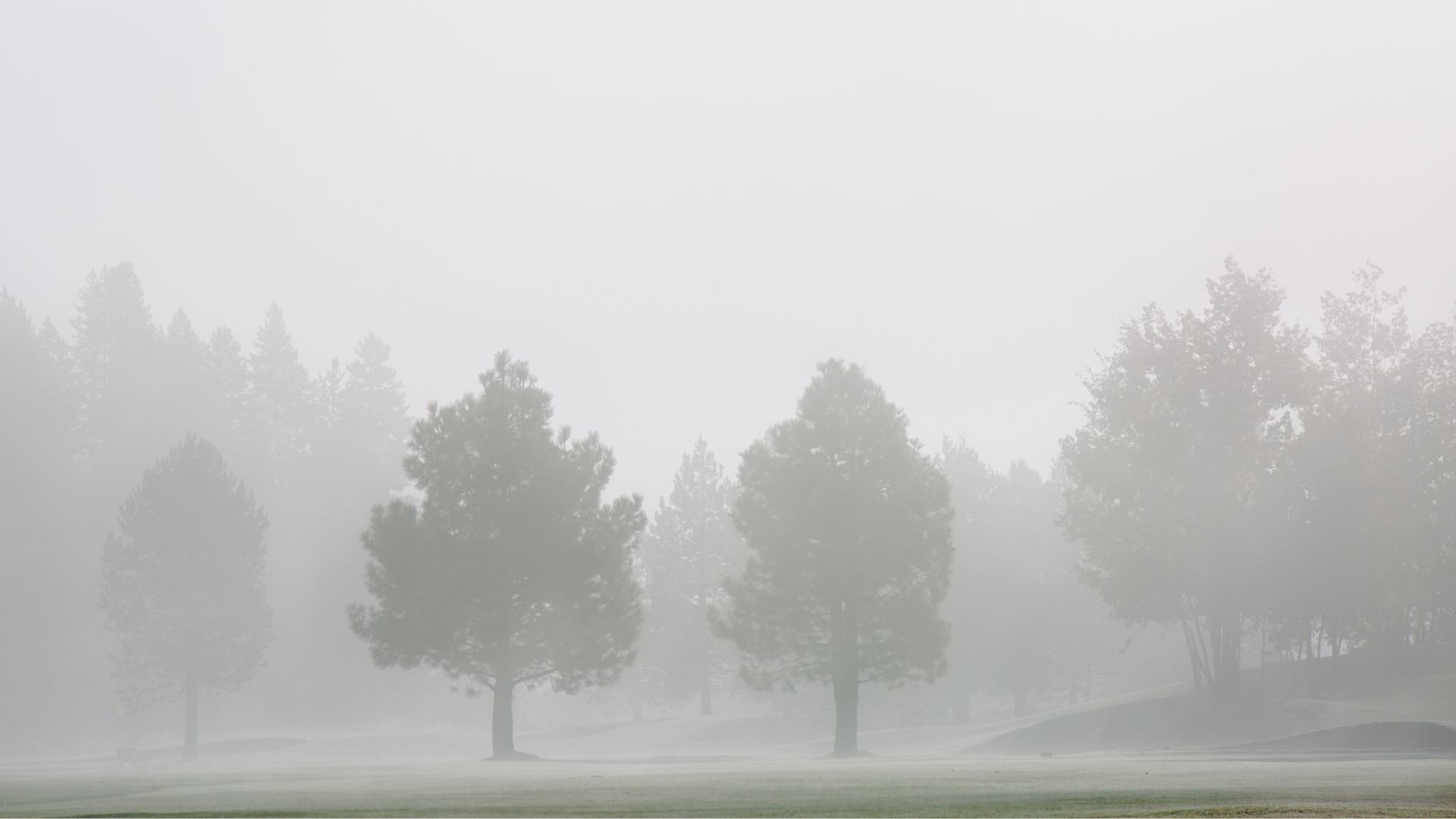 Lluvias en Aguascalientes: ¿Cuánto tiempo durará el clima fresco en ...