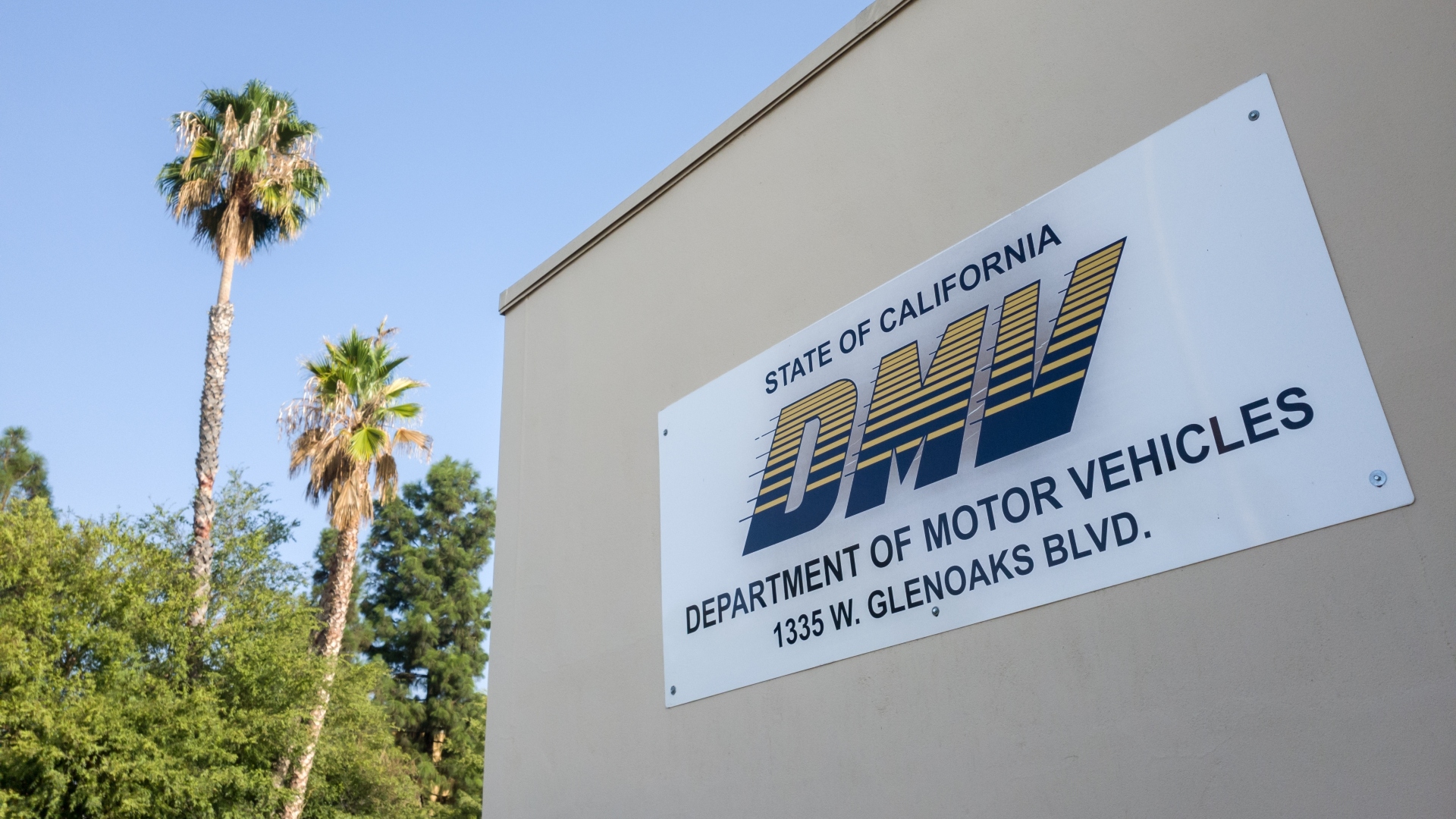 Obtén fácilmente el Real ID en el regreso a clases en California, según ...