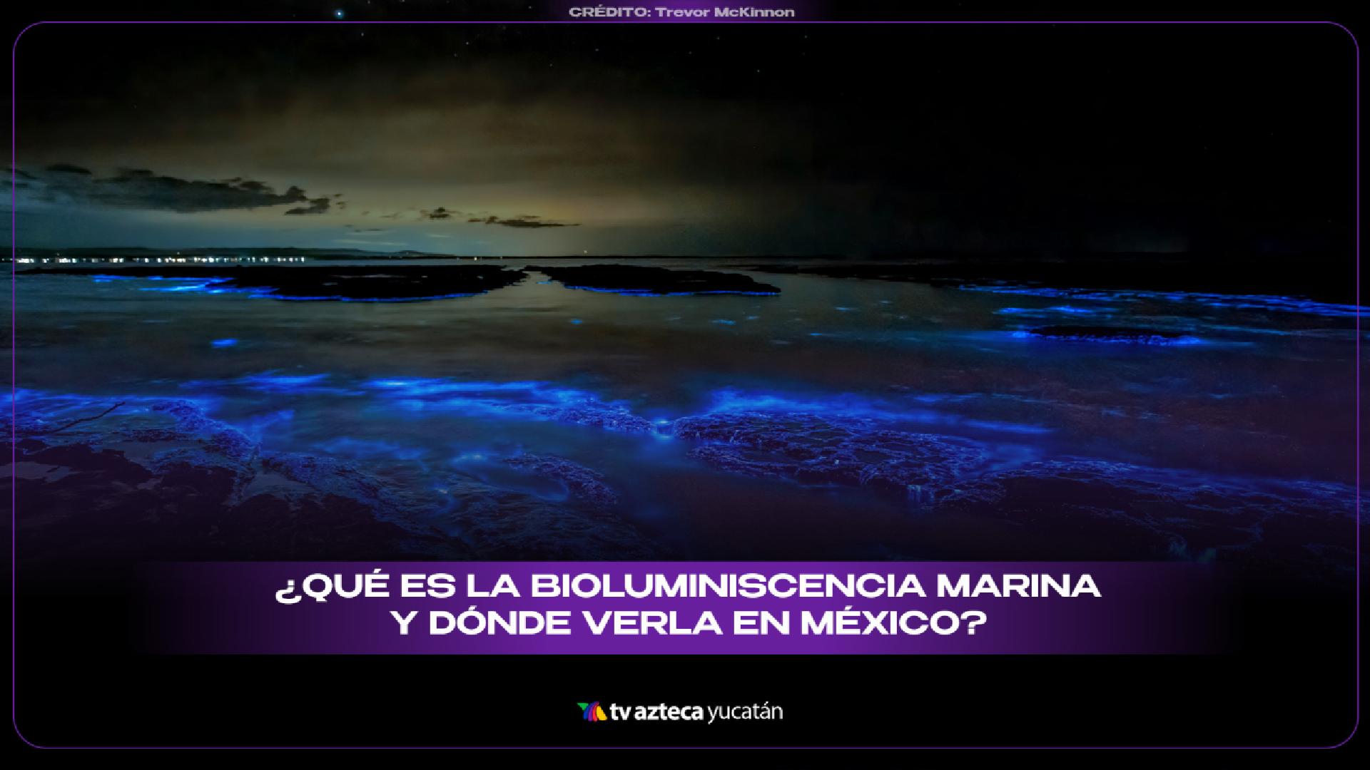 ¿Qué es la bioluminiscencia marina y dónde verla en México?