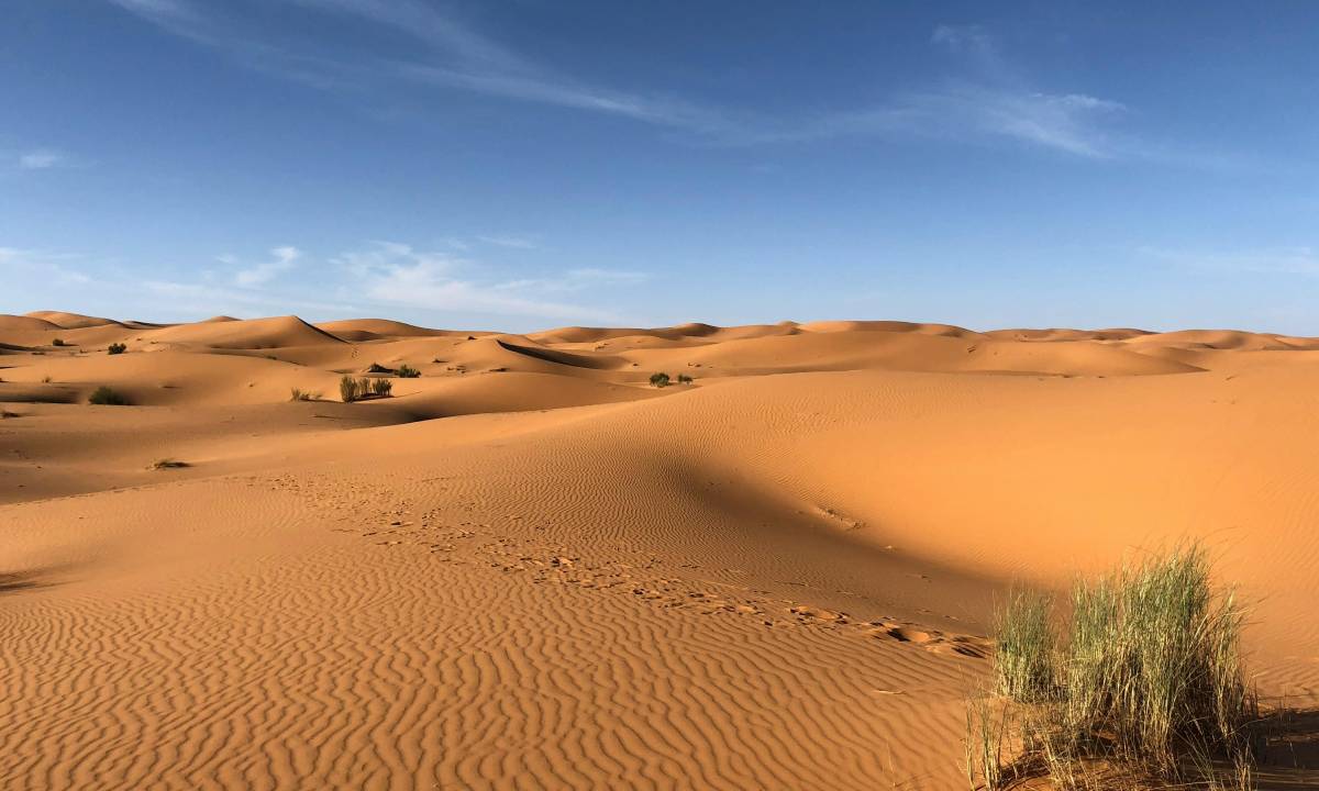 Desierto del Sahara presenta inundaciones por lluvias; ¿cómo es vivir ahí?