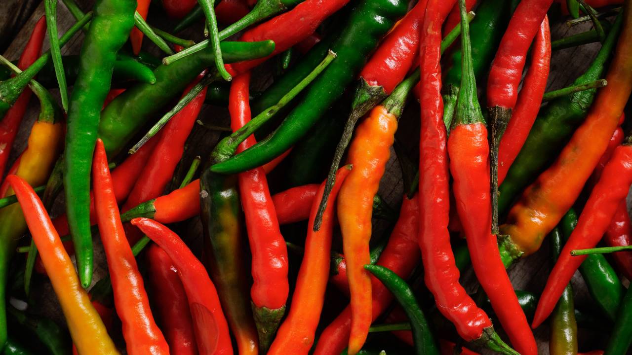 El Carolina Reaper, el chile más picante del mundo