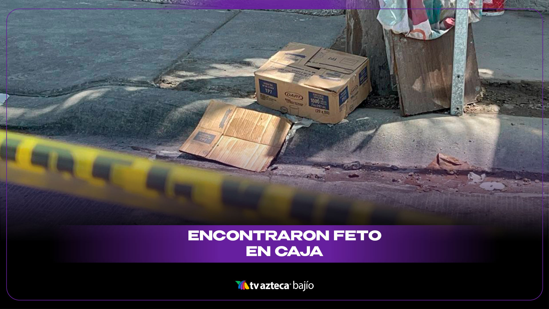 Hallan feto en caja en colonia La Marquesa, León: 5 junio 2025