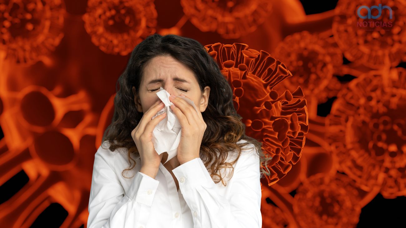 ¿Qué es la influenza, qué la causa y cuándo inicia la temporada en México?