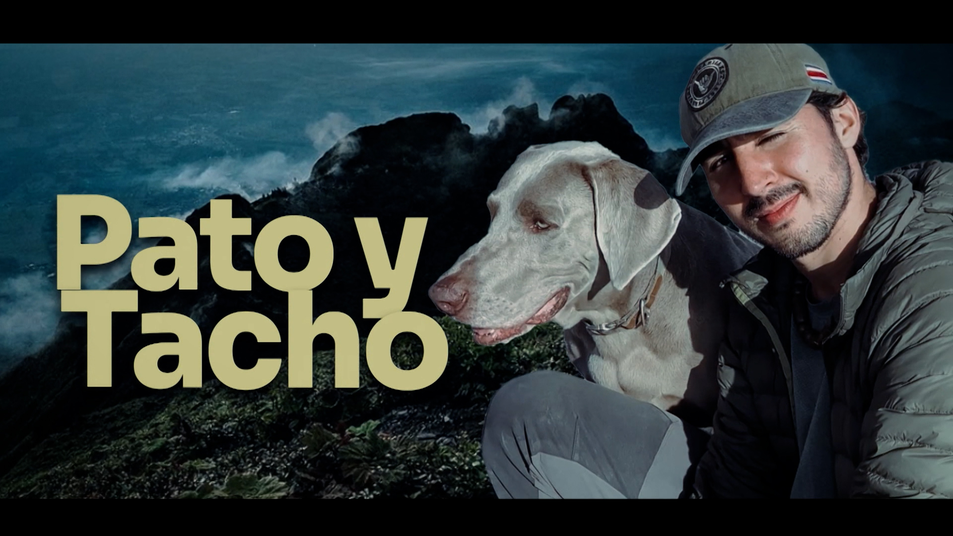 Esta es la historia de Pato y su mejor amigo Tacho