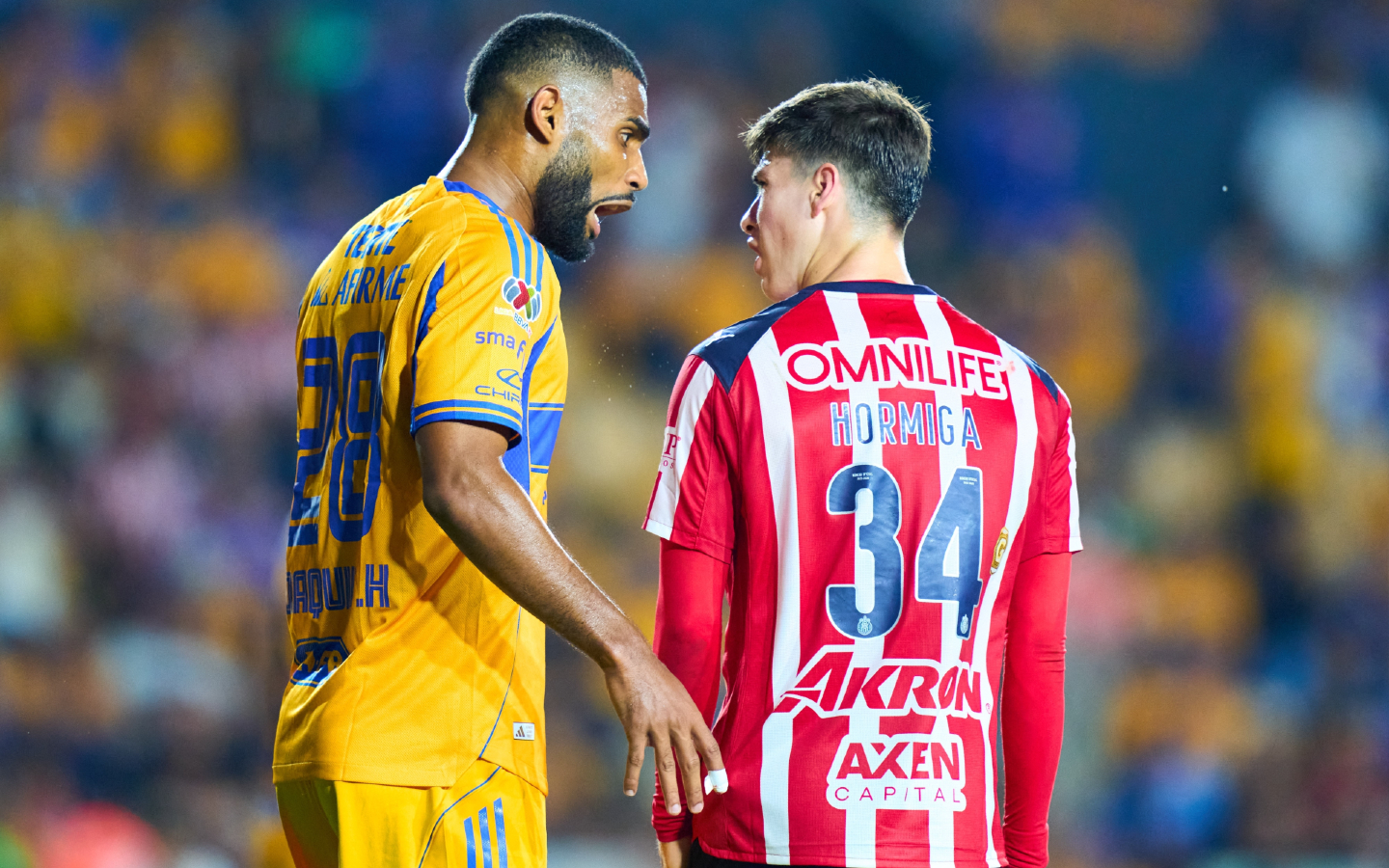 Fecha y hora EXACTA para ver Tigres vs Chivas en la Liguilla del ...