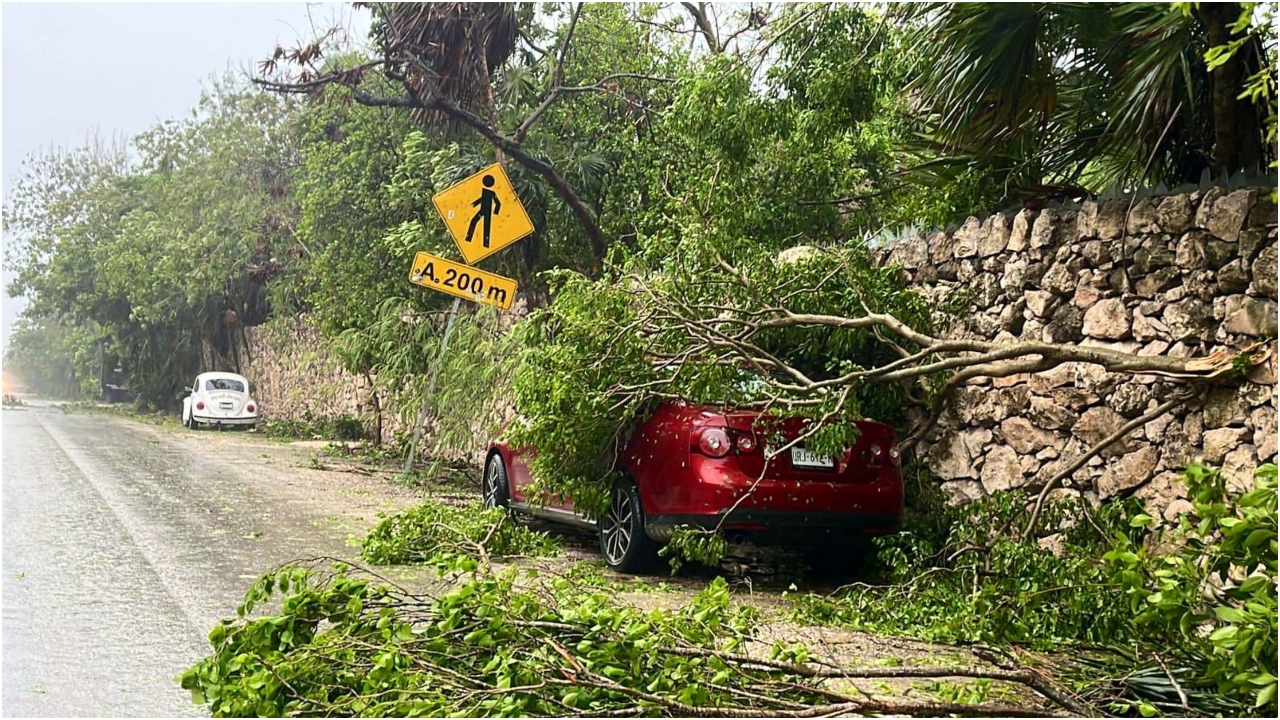 Huracán 'Beryl': ¿Cuáles fueron los daños que ocasionó tras tocar ...