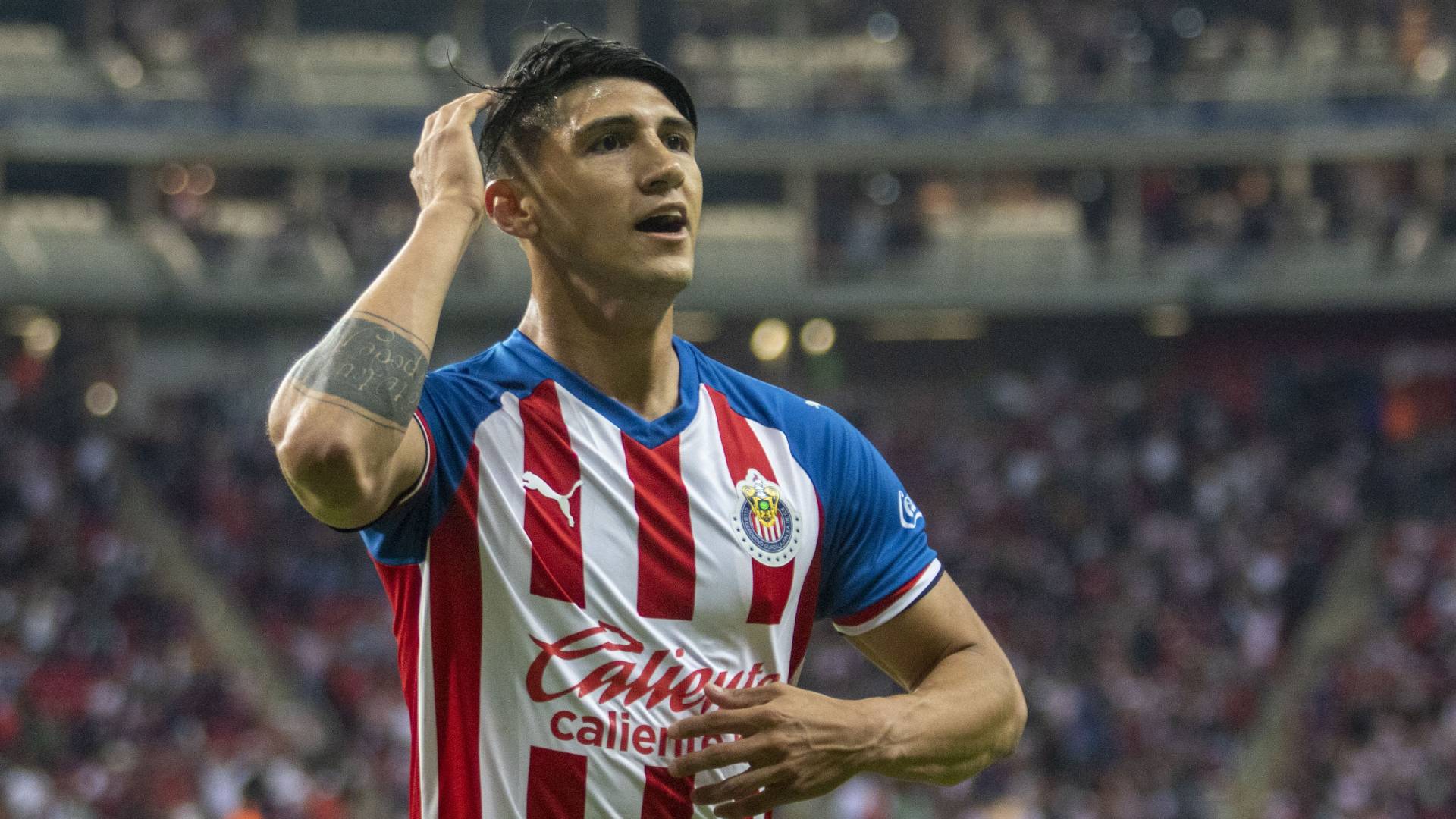 Este sería el salario de Alan Pulido en Chivas