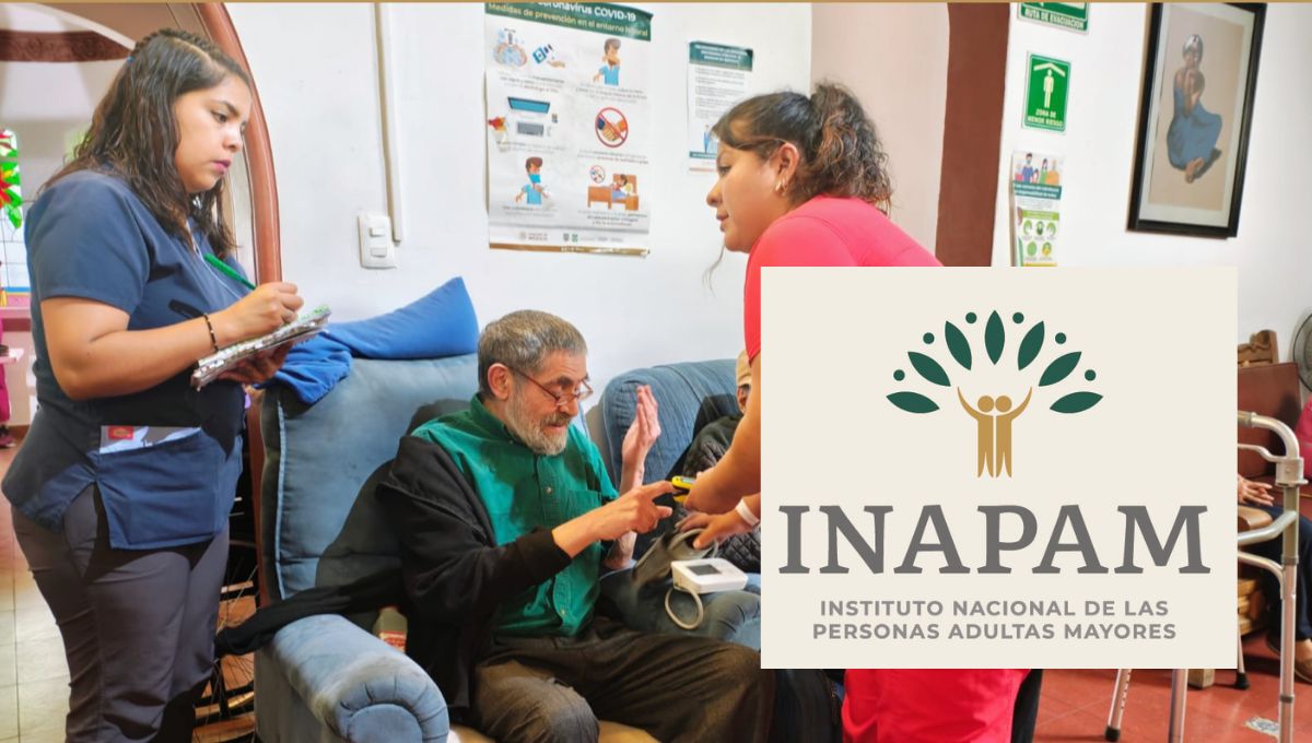 INAPAM 2024: Requisitos para tramitarla antes del fin de año