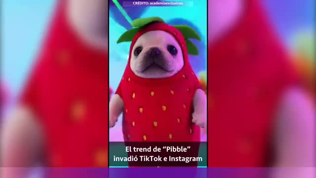 Trend de 'Pibble': Cómo surge y de dónde viene