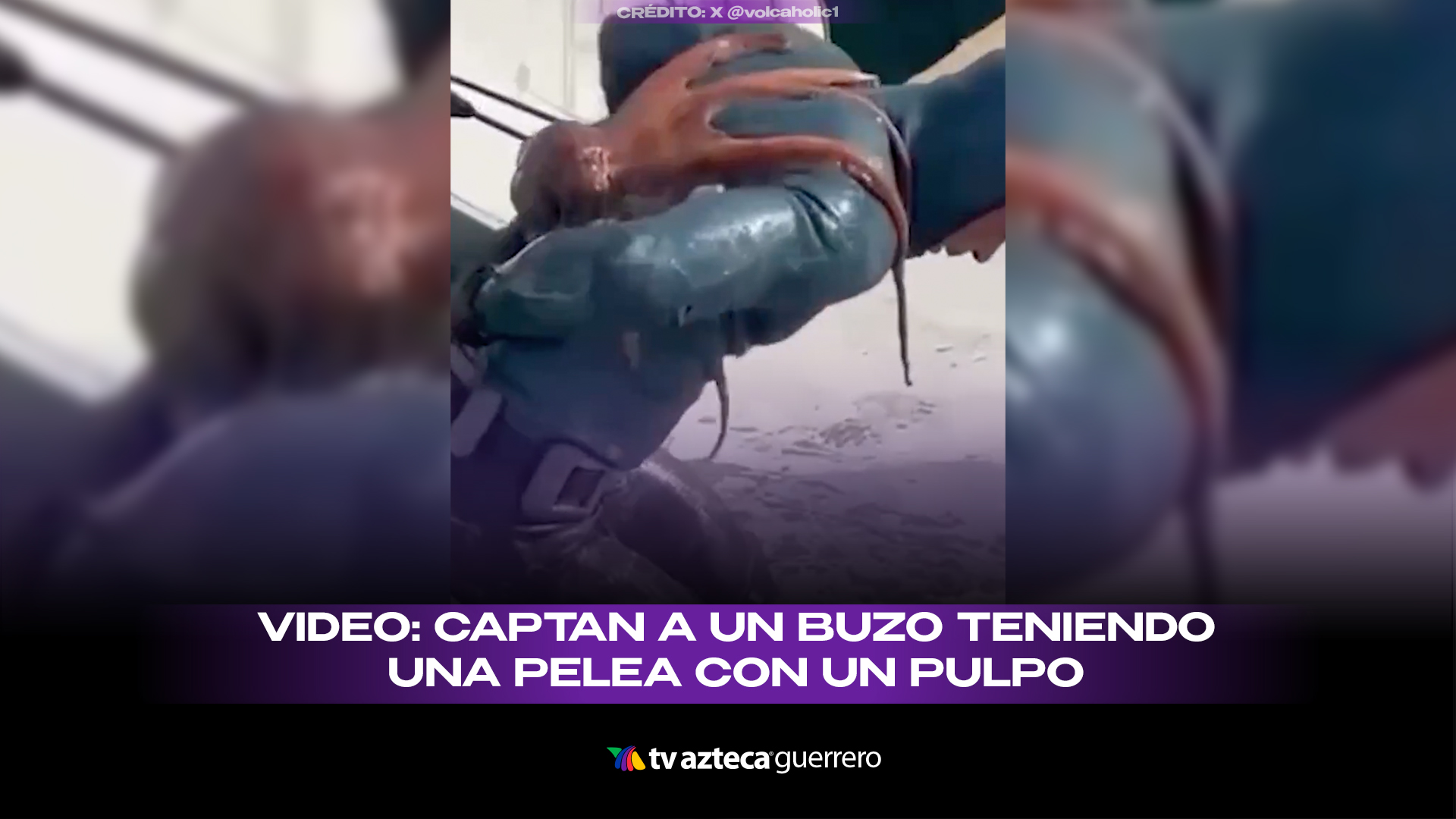 VIDEO: Captan a buzo peleando con un pulpo
