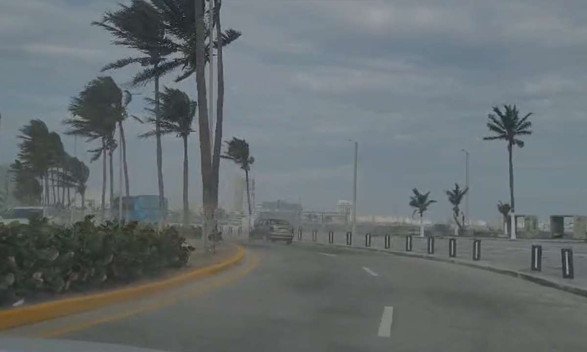 Norte en Veracruz: ¿en qué horario terminará el viento?