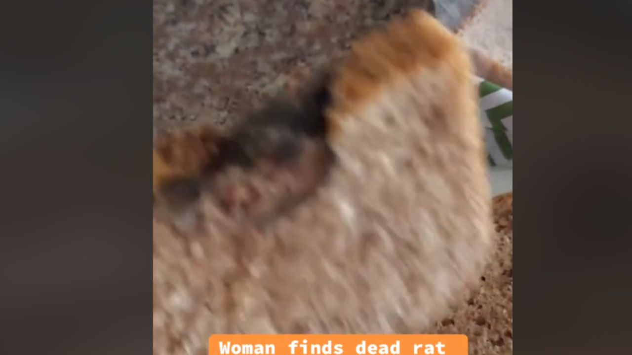 Mujer encuentra una rata rebanada en paquete de pan de supermercado