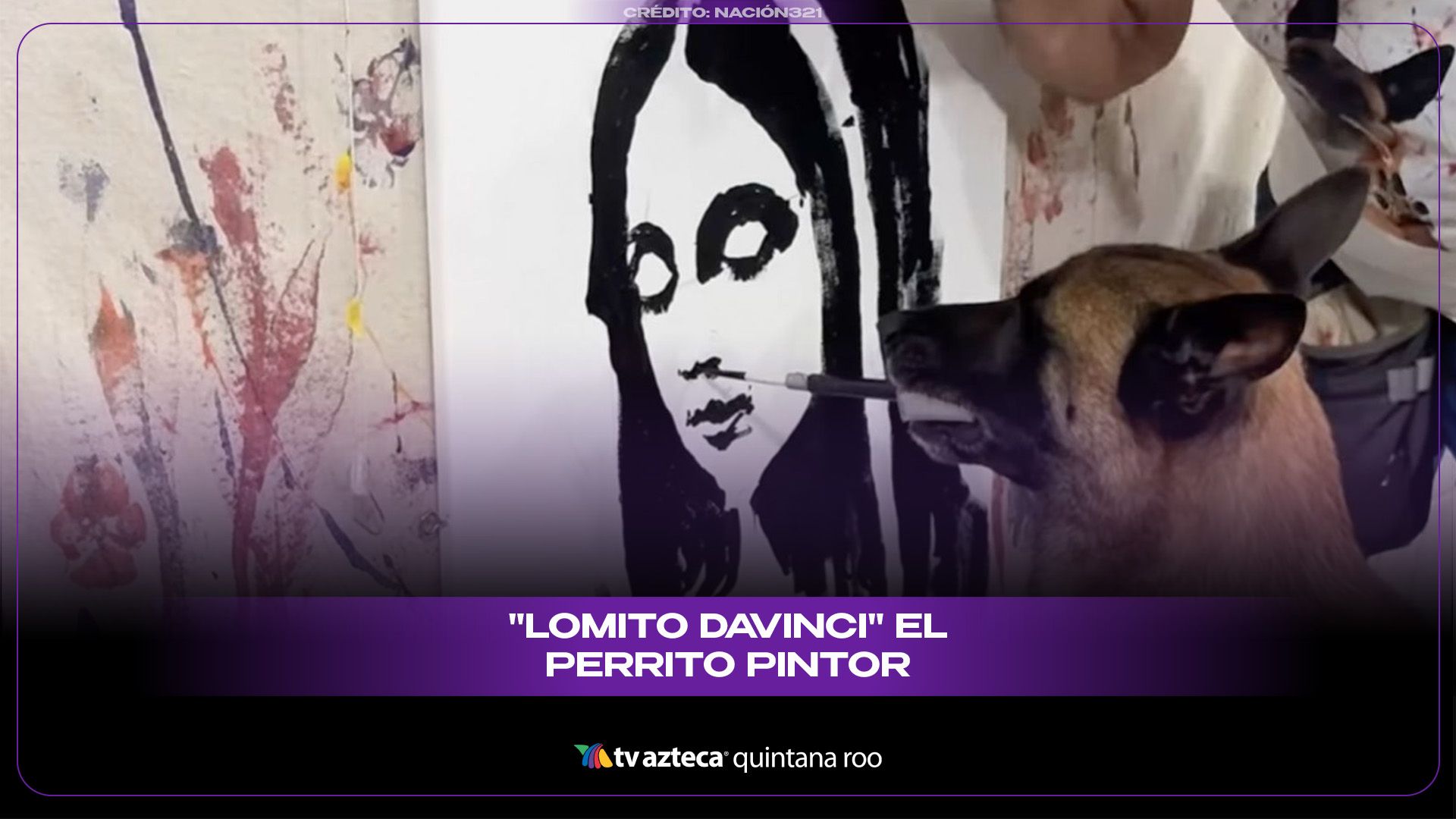 "Lomito DaVinci" Conoce al perrito pintor que es viral