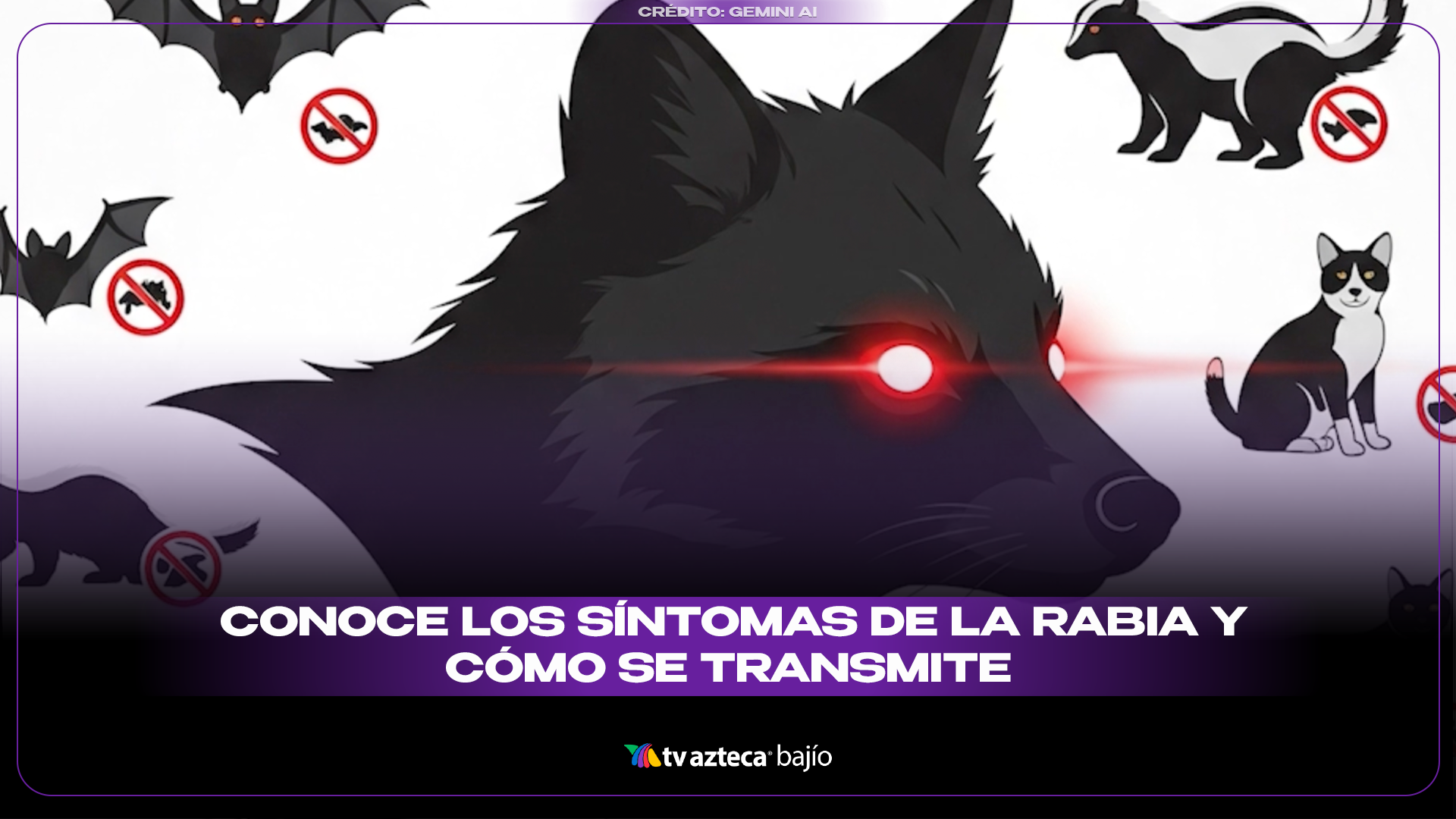 Rabia: síntomas, transmisión y cómo prevenir esta enfermedad viral mortal