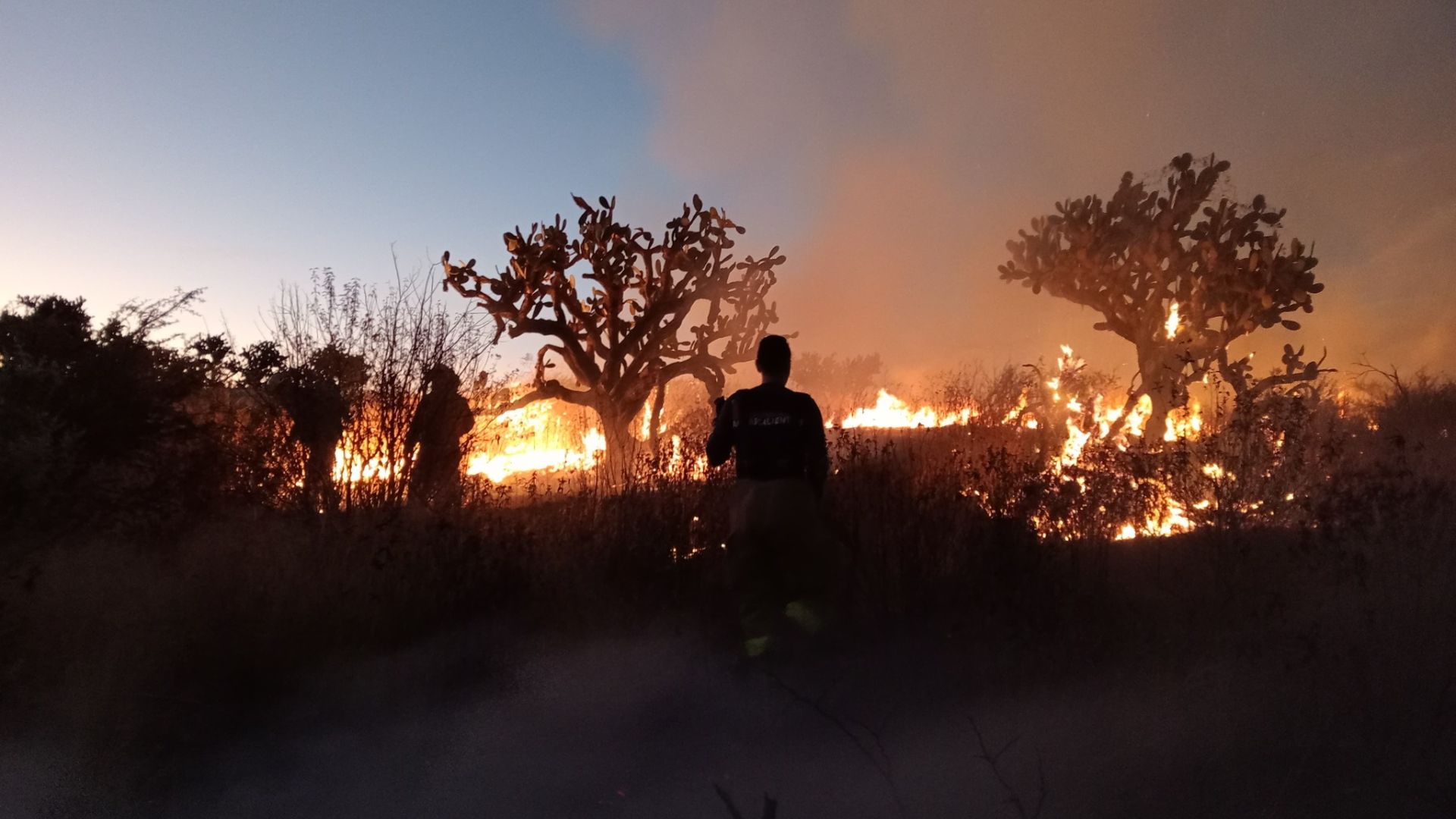 Incendios en Aguascalientes: ¿Cuáles son los números oficiales para ...