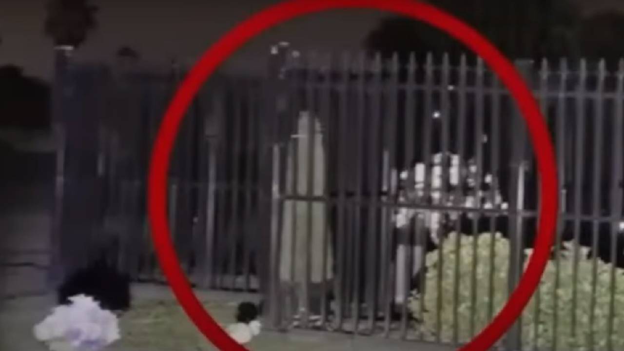 Video del supuesto fantasma de Selena Quintanilla captado por Carlos Trejo