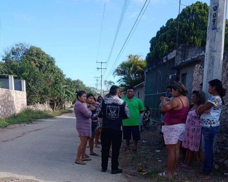 VIDEO: Mujer denuncia envenenamiento masivo de perros en Yucatán
