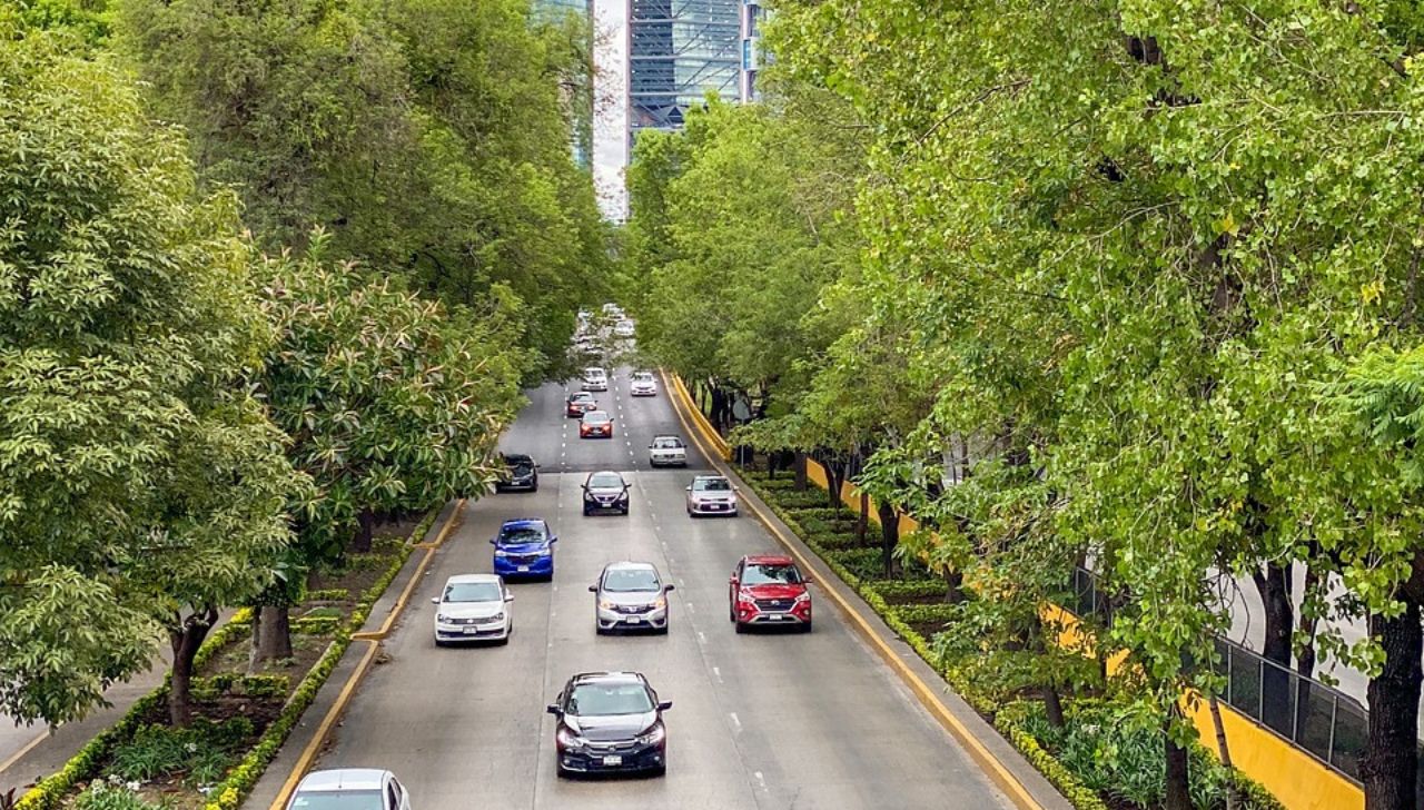 Hoy No Circula del viernes 21 de julio de 2023 en CDMX y Edomex