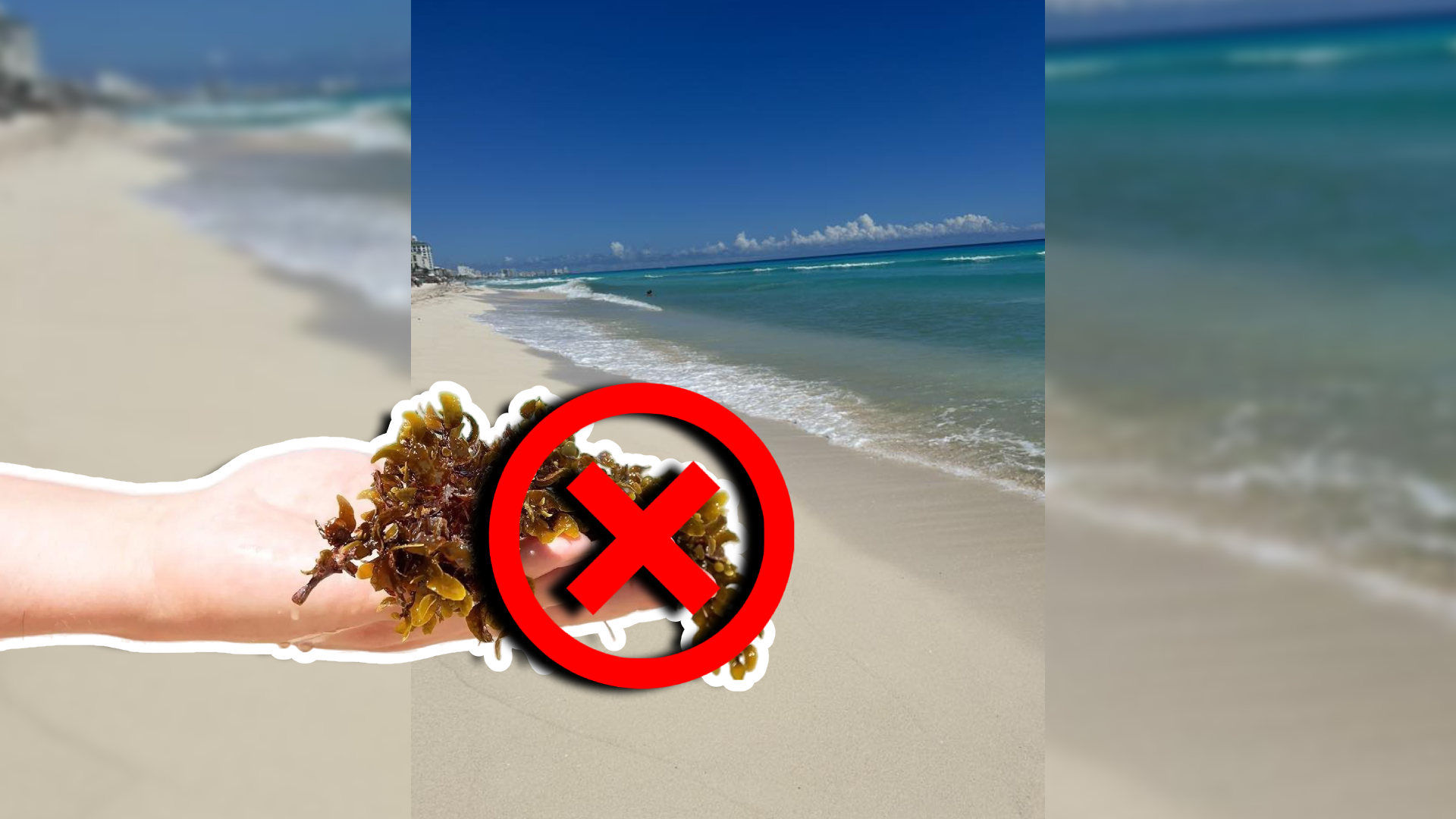 Playas sin sargazo en Quintana Roo hoy 2 de noviembre de 2025 en Cancún ...