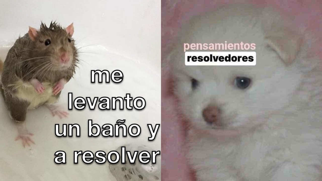 ¿Qué significa “resolver”, la nueva tendencia de memes en redes?