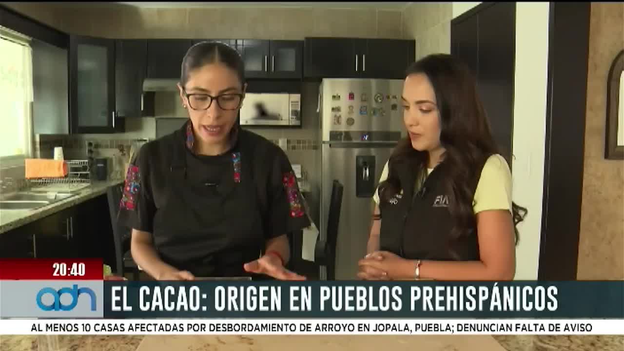 Cacao: el tesoro prehispánico que dio paso al chocolate de Guanajuato