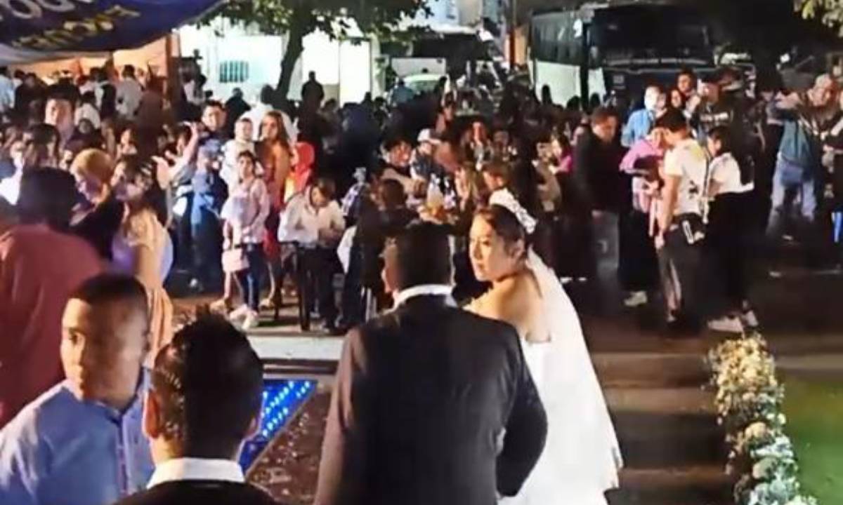 Boda en fraccionamiento Albatros de Veracruz: ¿cómo fue y qué grupos ...