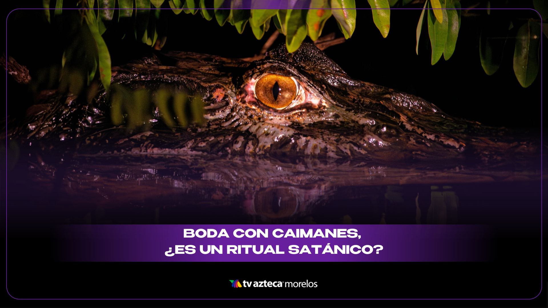 Ritual del caimán: significado espiritual y origen prehispánico en la ...