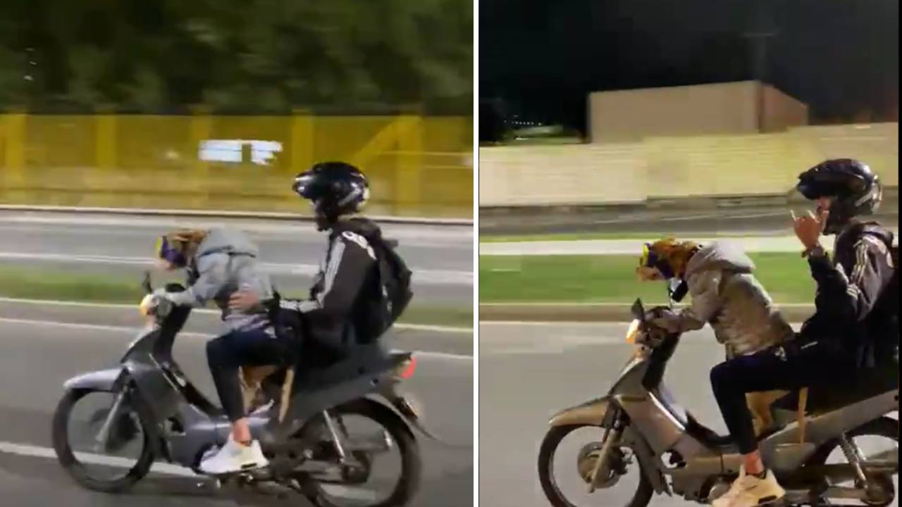 ¡Insólito video! Perro maneja una moto y se vuelve viral