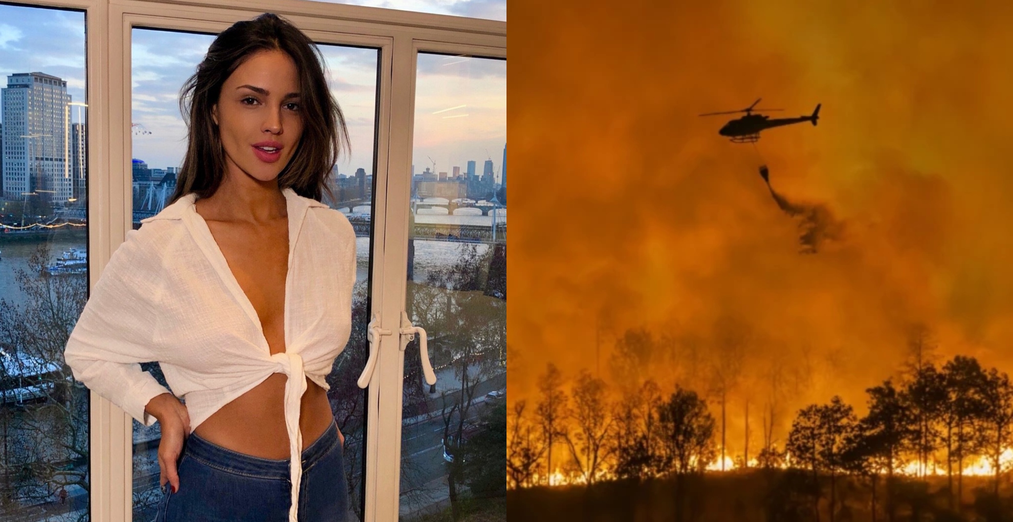 Incendios en California: Eiza González busca AYUDAR a los afectados
