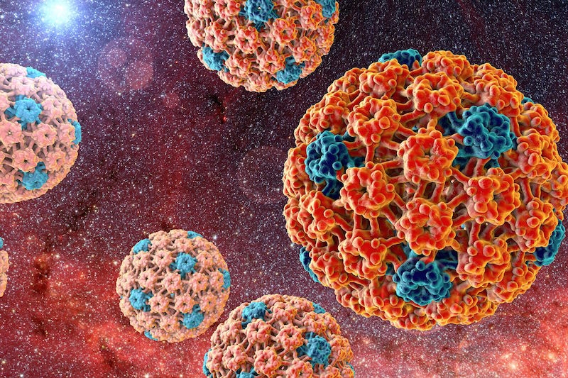 VPH en México: 8 de cada 10 personas se infectarán en algún momento de ...