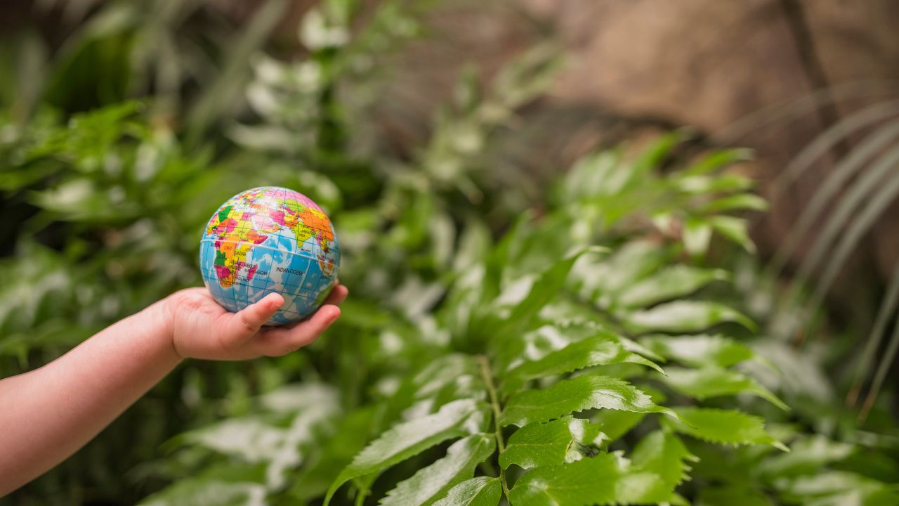 Día Mundial del Ambiente: cuál es su objetivo, tema y acciones para 2024