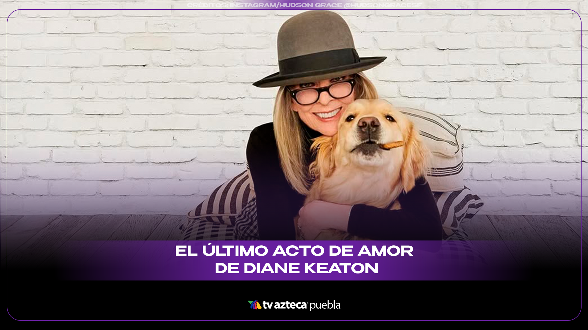 Diane Keaton hereda fortuna a su perro Reggie y fundaciones de rescate ...