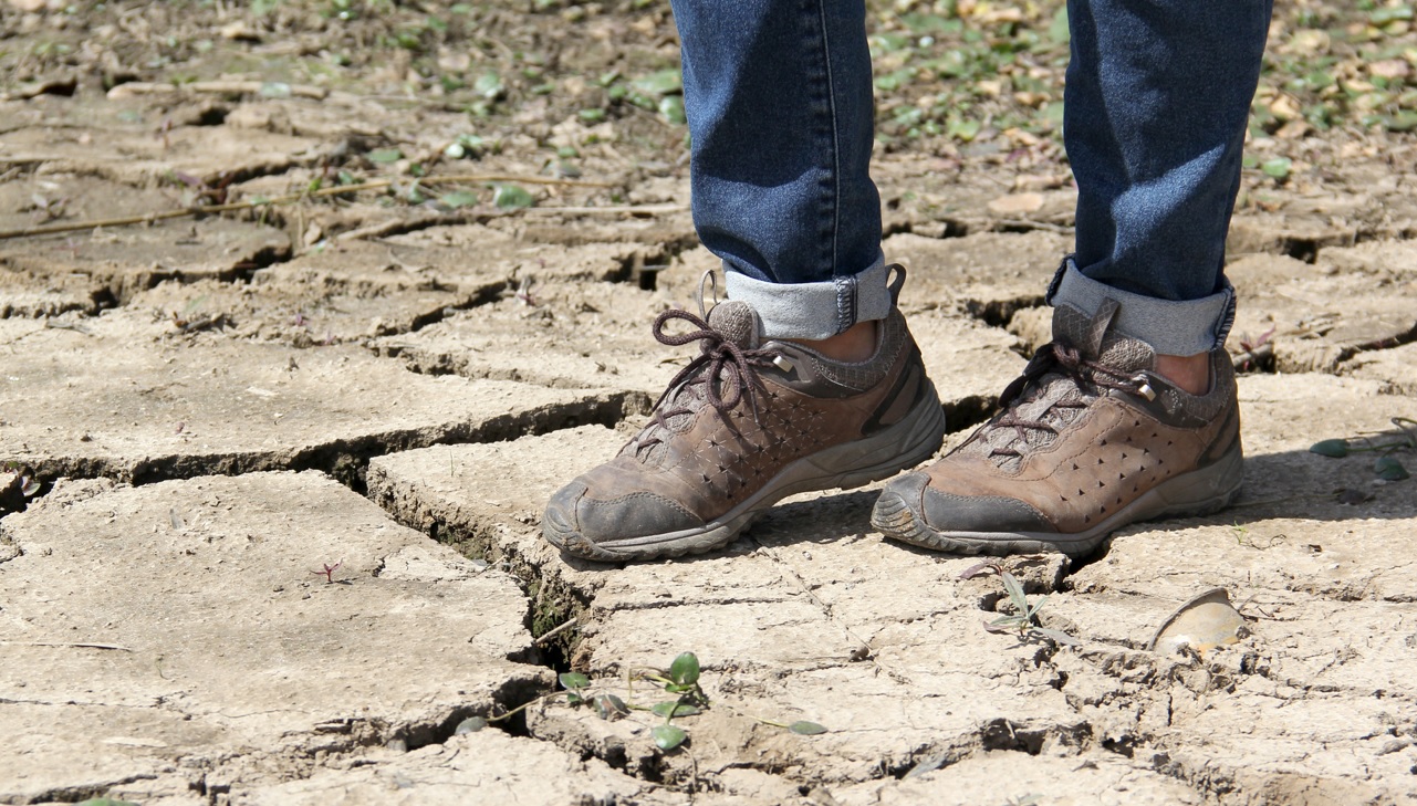 Alerta de sequía en México: El estado que pide declarar emergencia