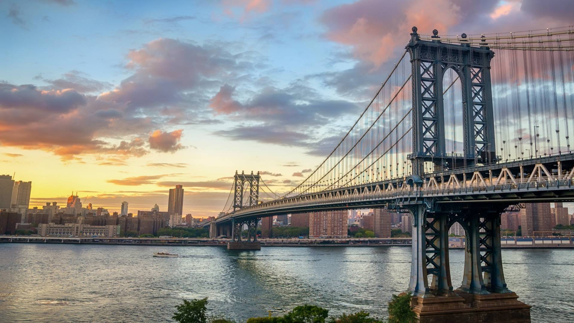 Captan a un increíble animal en la costa de Nueva York: ¿qué hacía allí?