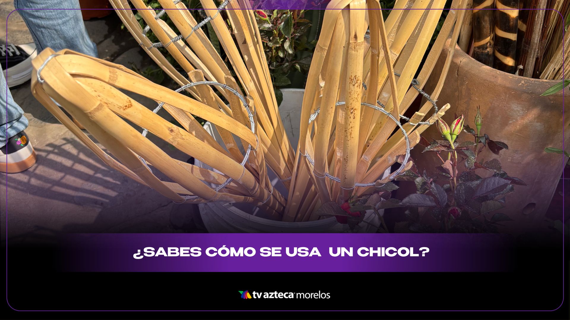 ¿Sabes para qué sirve un “chicol”?