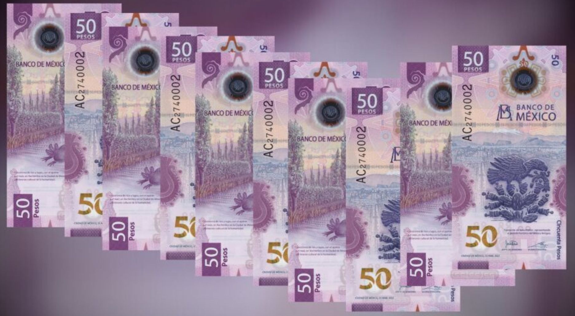 ¿Cuál es la colección de billetes de 50 pesos que te sacará de apuros ...