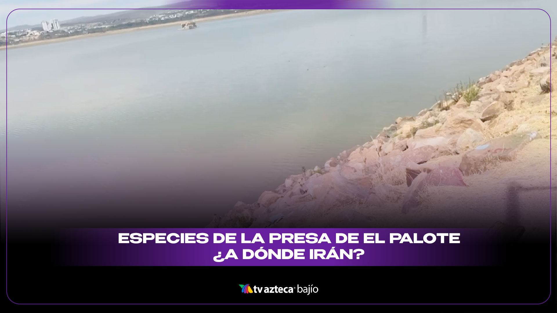 Especies de la Presa El Palote, en León: ¿Qué pasará cuando se seque ...