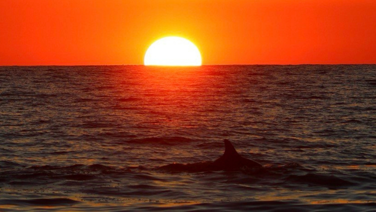 Pie de la Cuesta; la playa de Acapulco para ver la mejor puesta del sol