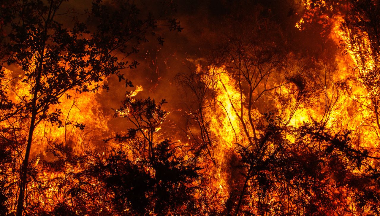 Conductor de autobús cruza las llamas del incendio en Chile