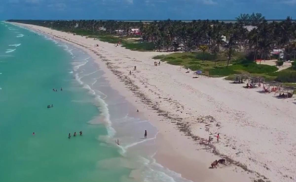 ¿Cuáles son las playas de Yucatán? Conoce la costera