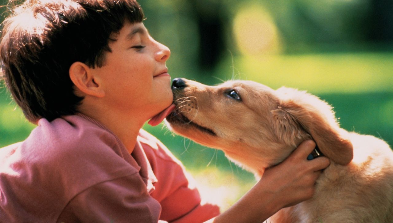 VIDEO: Niño jugando a la resbaladilla con su perro se hace viral