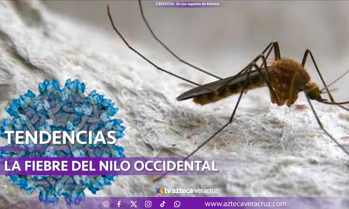 ¿Qué es la fiebre Nilo Occidental que se transmite por el mosco?