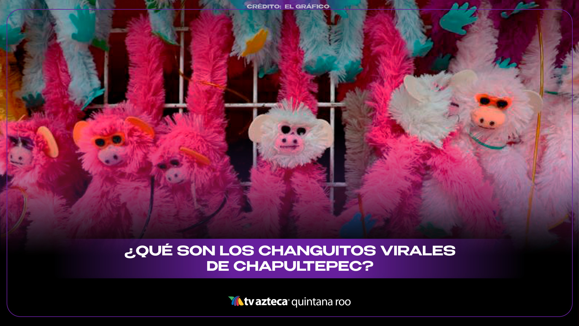 Changuitos virales de Chapultepec: qué son, por qué se hicieron famosos ...