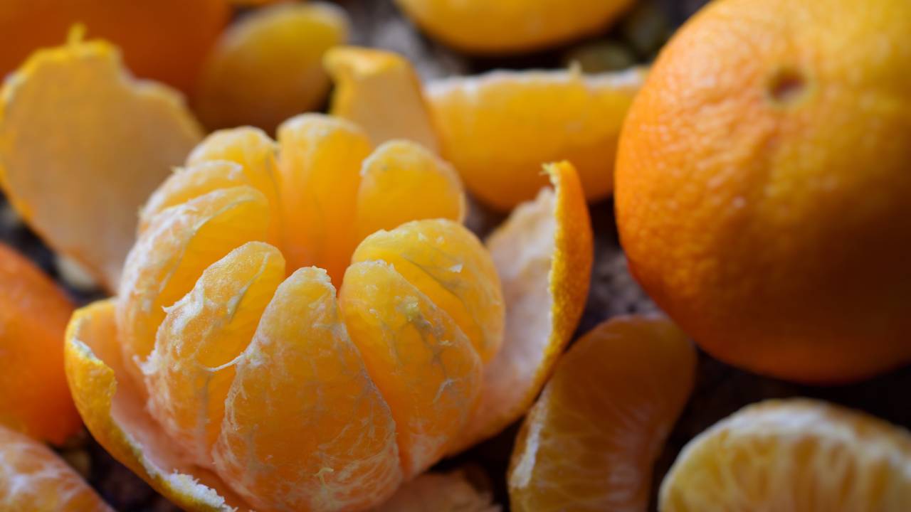 El otoño traerá mandarinas: ¿Cuándo inicia la temporada y cuánto cuesta?