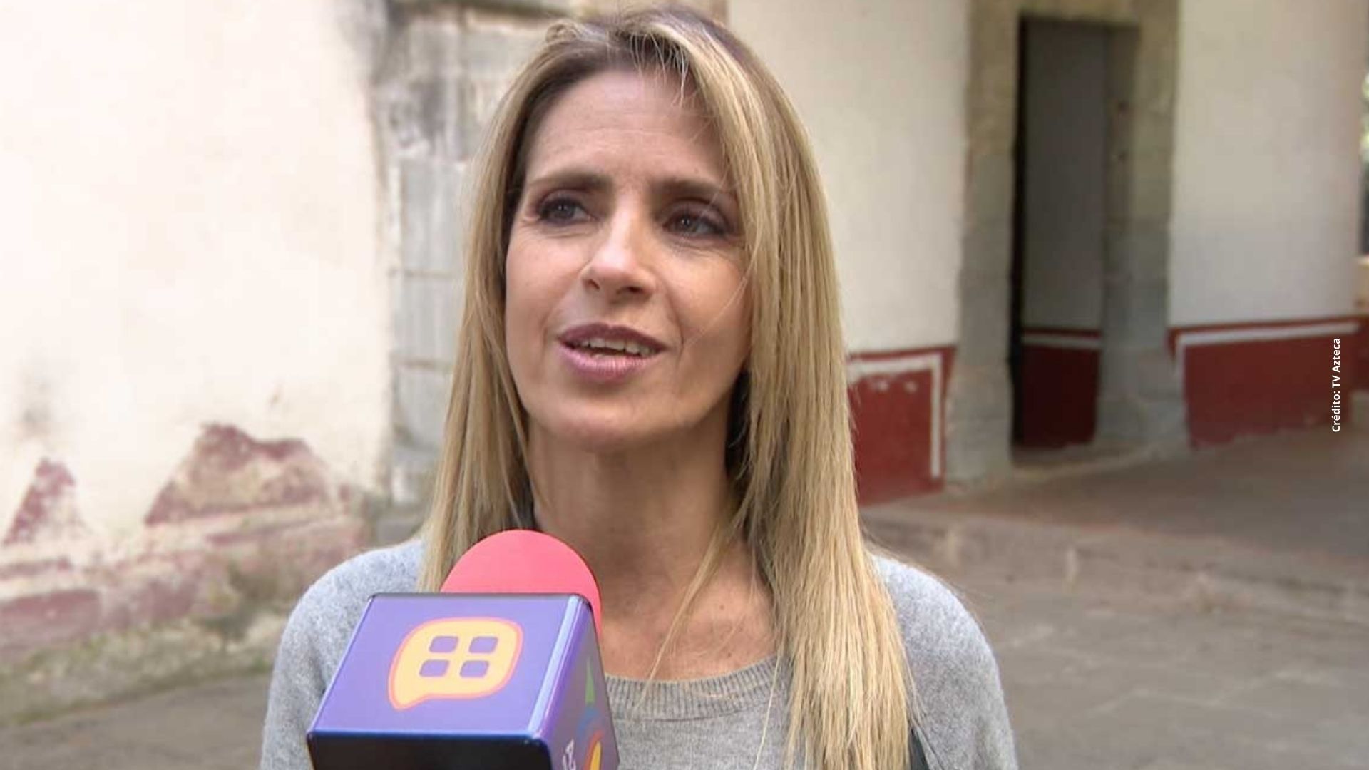 Graciela Mauri podría regresar a la actuación