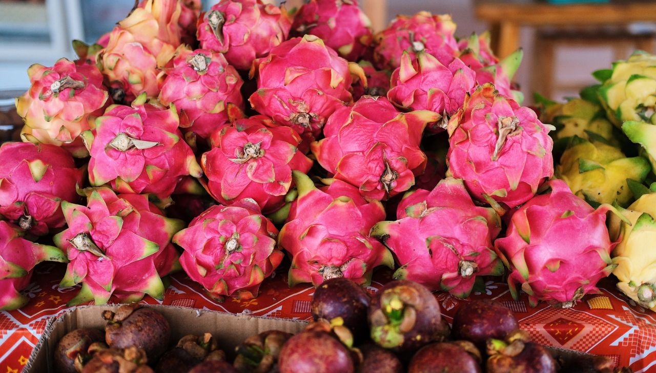 Feria de la Pitahaya 2024: Horario, lugar y actividades