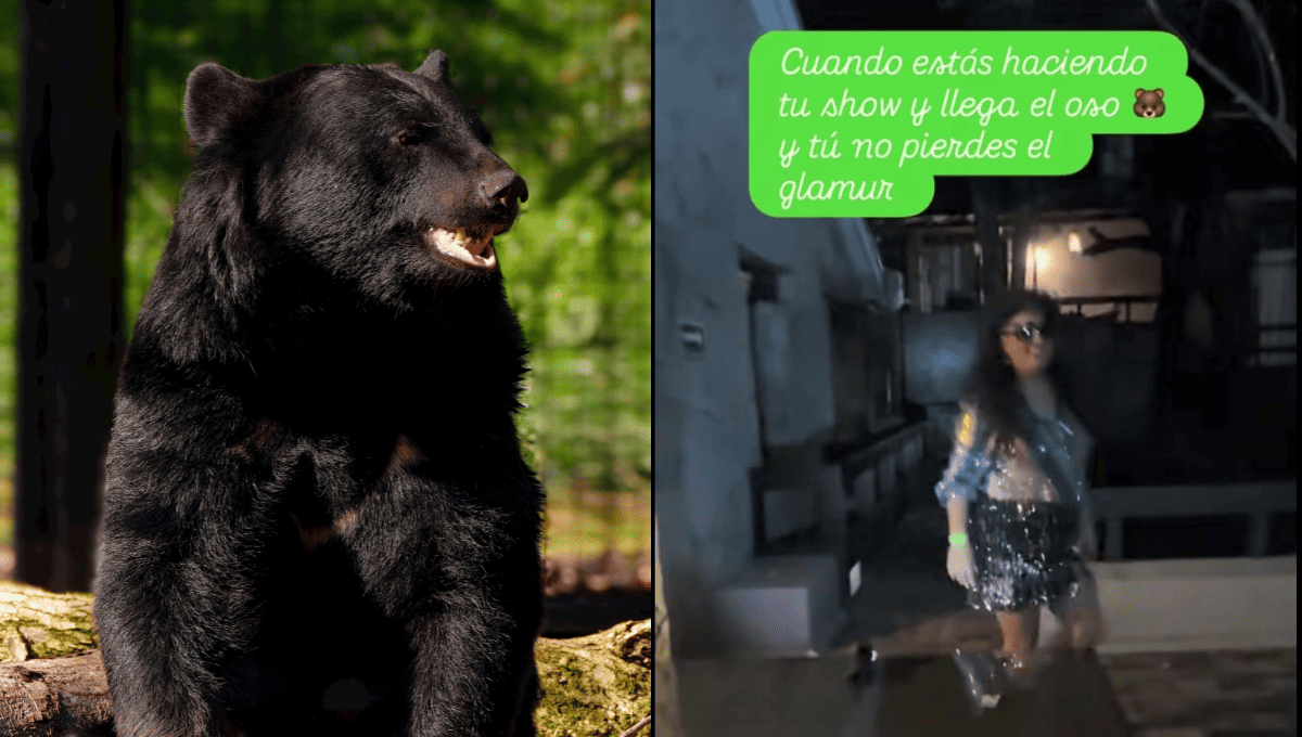 Mujeres en plena fiesta recibieron la visita de un oso
