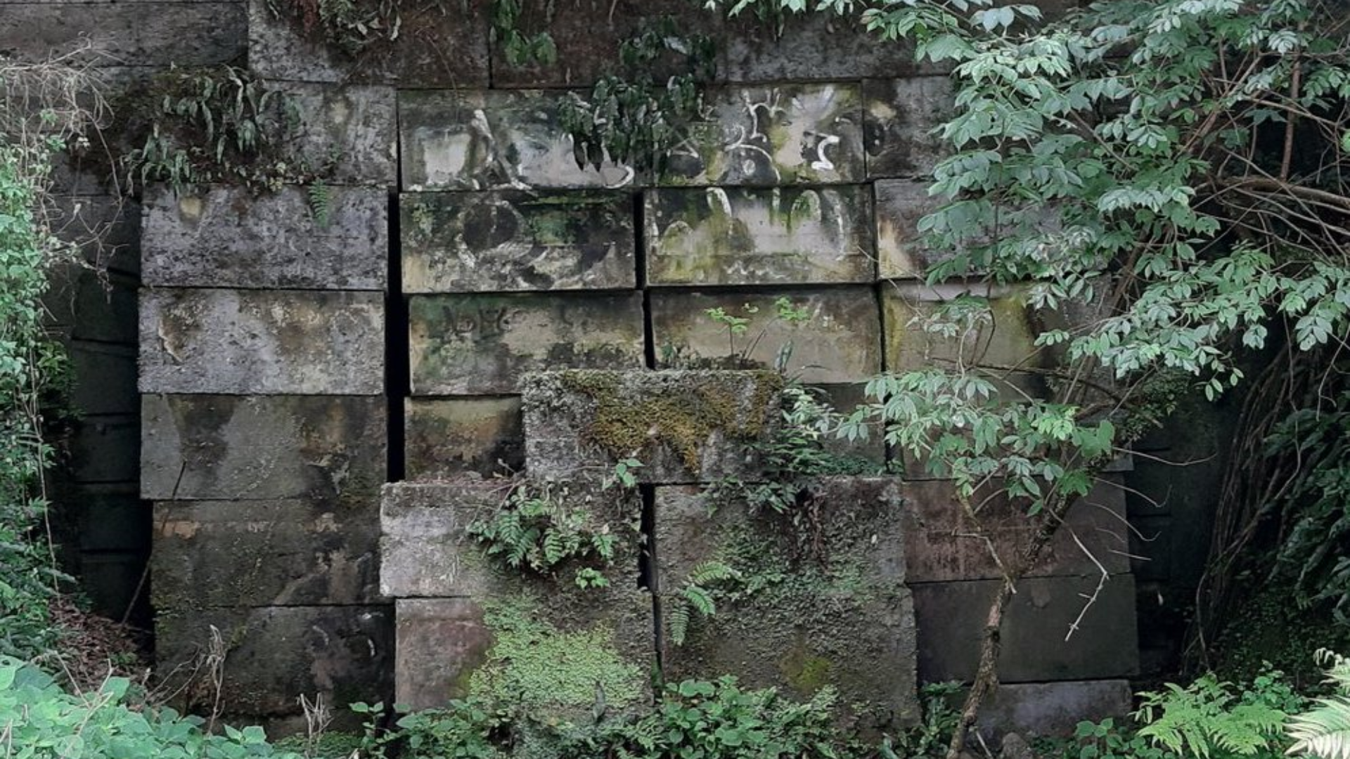 Túnel Inunaki, el lugar más embrujado de Japón, aterroriza a quienes entran